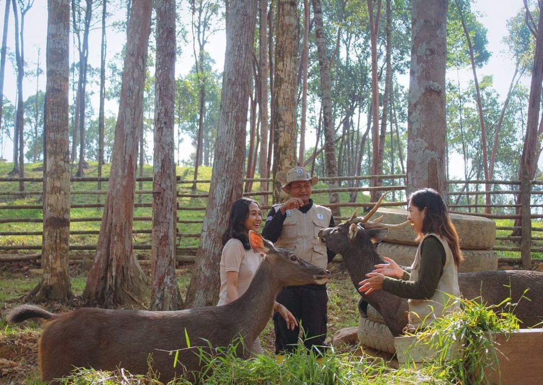 Address: Northwalk, Nagoya Citywalk, Jl. Imam Bonjol, Lubuk Baja Kota ...